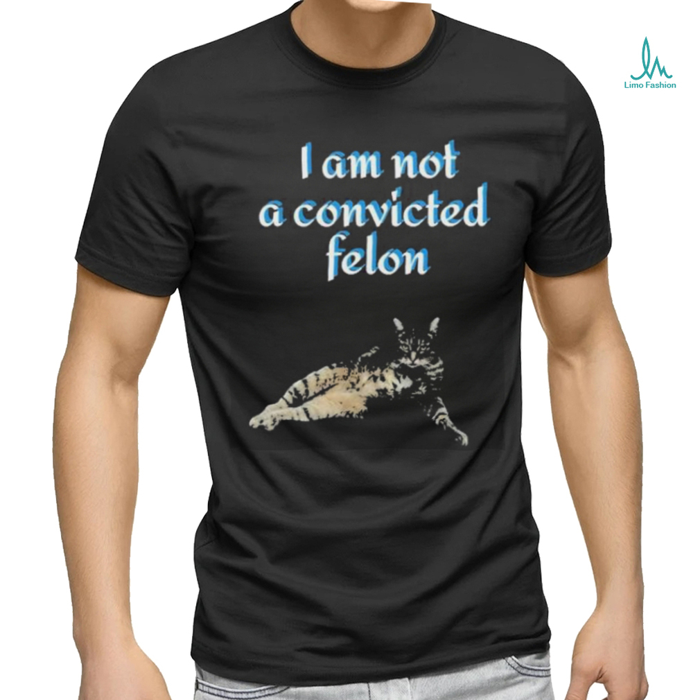 Cat I am not a convicted felon Shirt, hoodie, sweater, long sleeve and ...